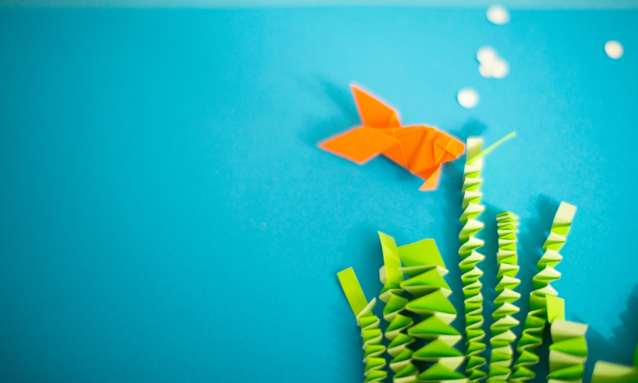 Contact Us - In Fish Tank