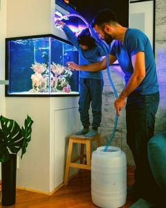 7 Best Fish Tank Cleaning Fish: (Keep Your Tank Sparkling)