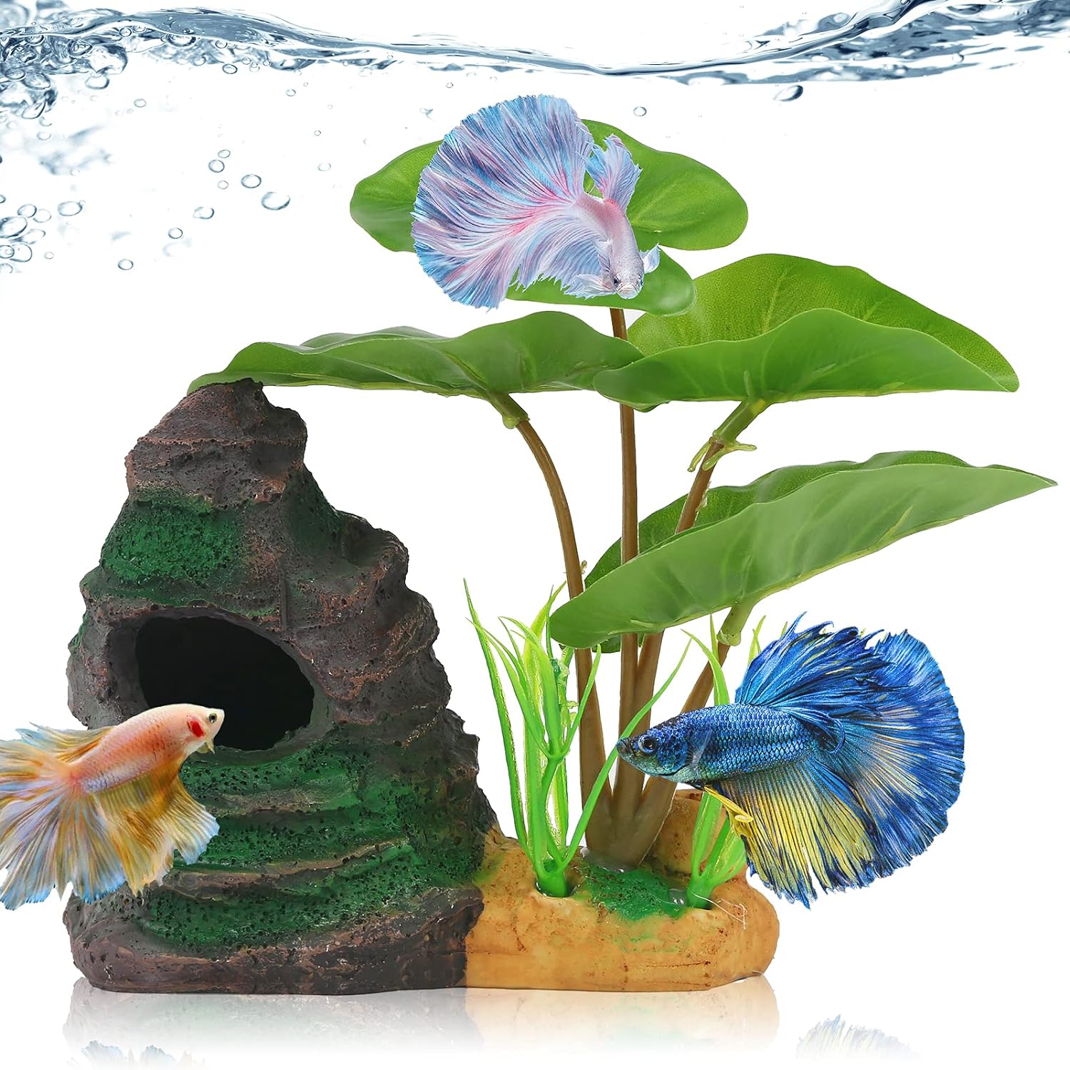 10 Best Plants for Betta Fish Tank: (A Comprehensive Guide)